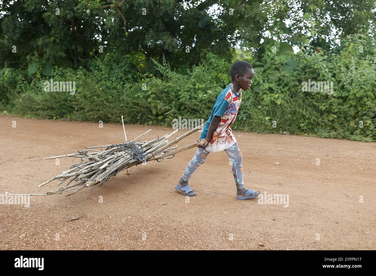 Boy fetching wood in Takpatchiomey, Couffo, Benin Stock Photo - Alamy