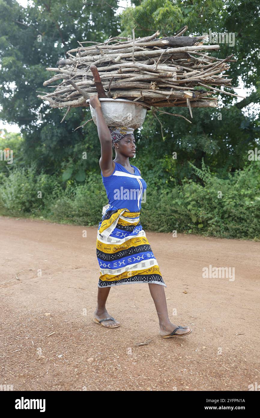 Young woman fetching wood in Takpatchiomey, Couffo, Benin Stock Photo ...