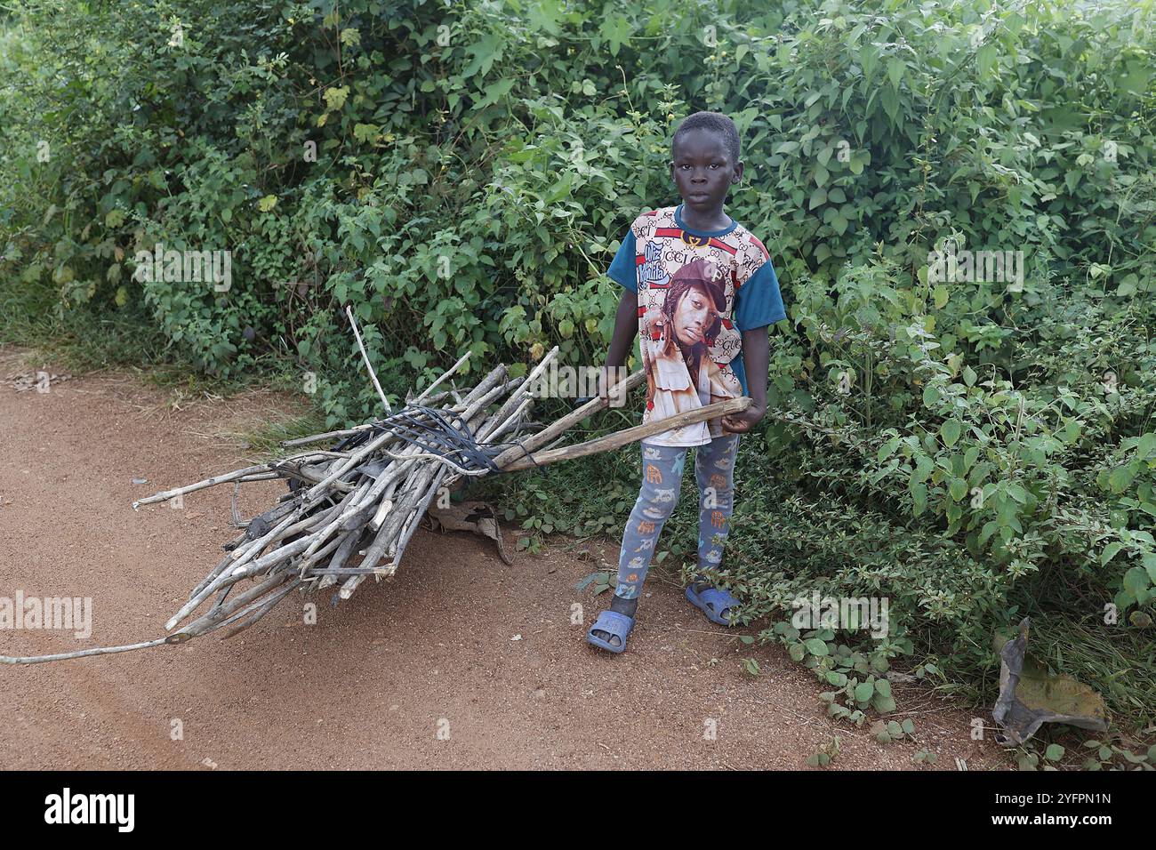 Boy fetching wood in Takpatchiomey, Couffo, Benin Stock Photo - Alamy