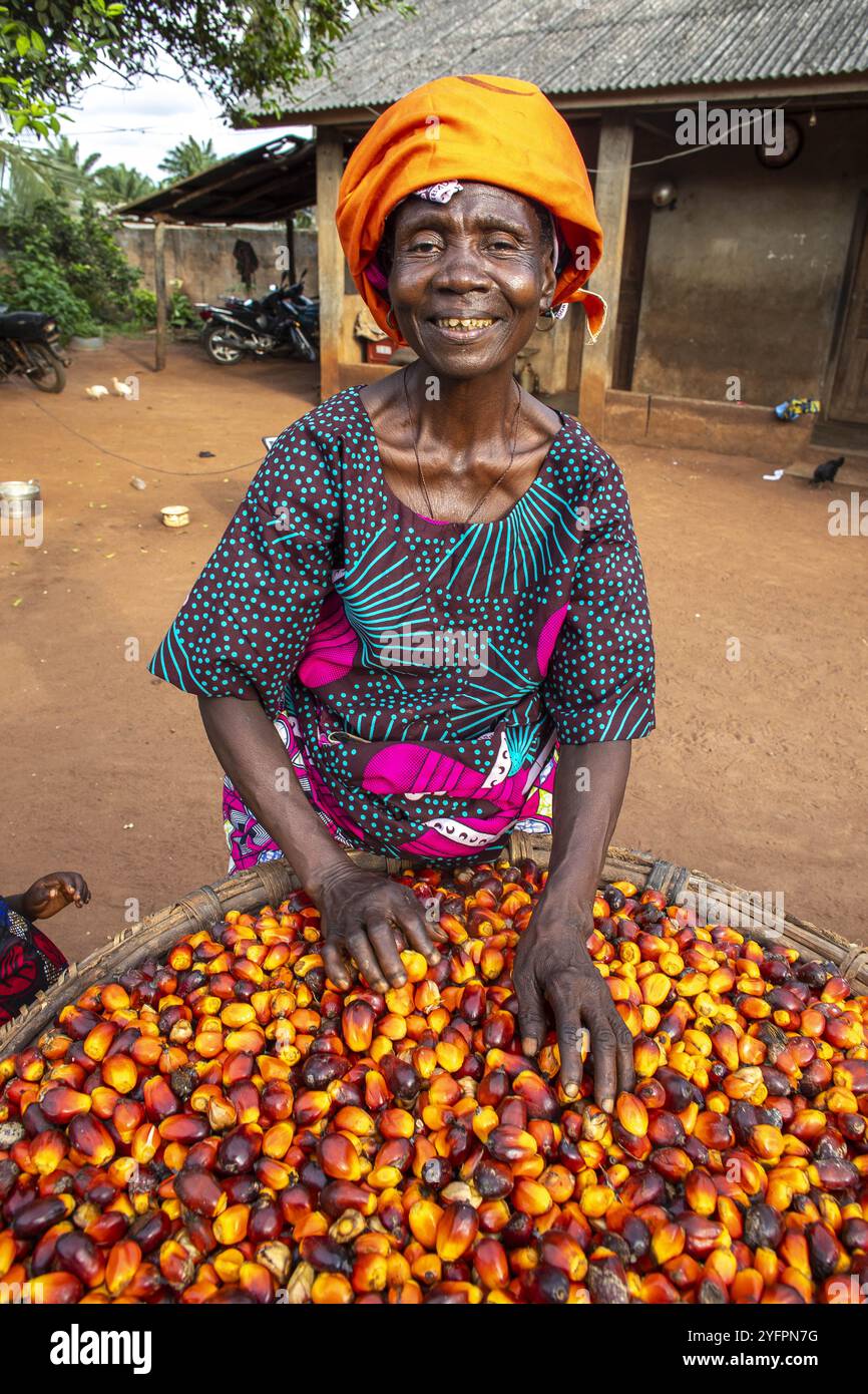 Villager with palm fruit harvest in Dokoue, Benin Stock Photo - Alamy