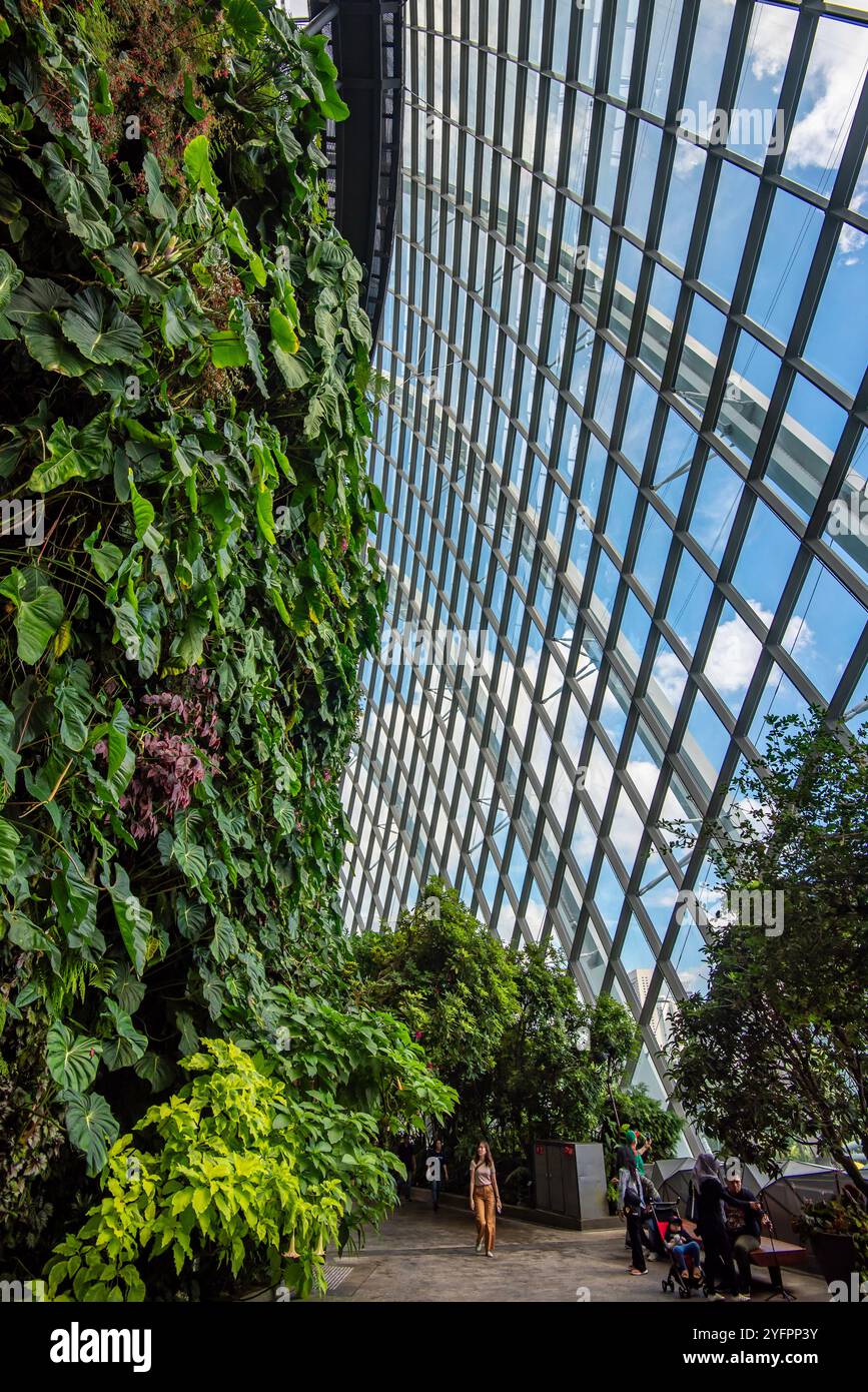 An interior view of the gardens and part of the glass dome covering the ...