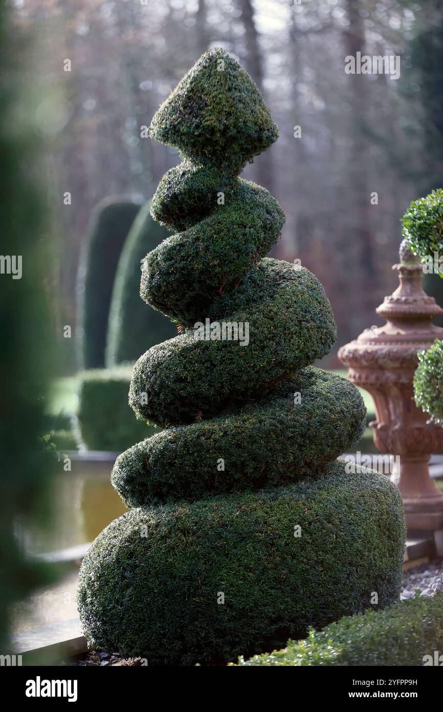 French garden with boxwood. France Stock Photo - Alamy