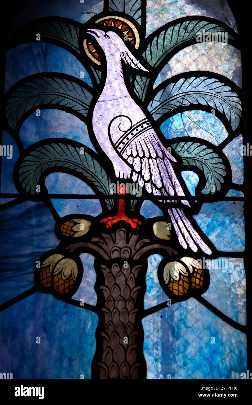 Saint Martin d'Ainay basilica. Stained glass window. Phoenix symbol of ...