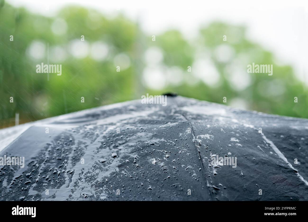 Macro of rain water drops falling and splashing on black umbrella while ...