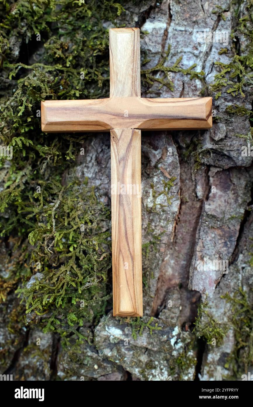 Wooden cross on a tree. Christianity symbol Stock Photo - Alamy