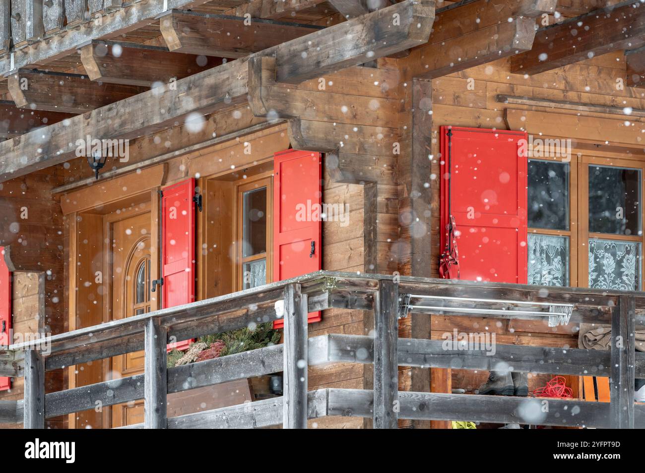 Winter atmosphere. Inside a thick snowfall. Sappada, Dolomites Stock ...