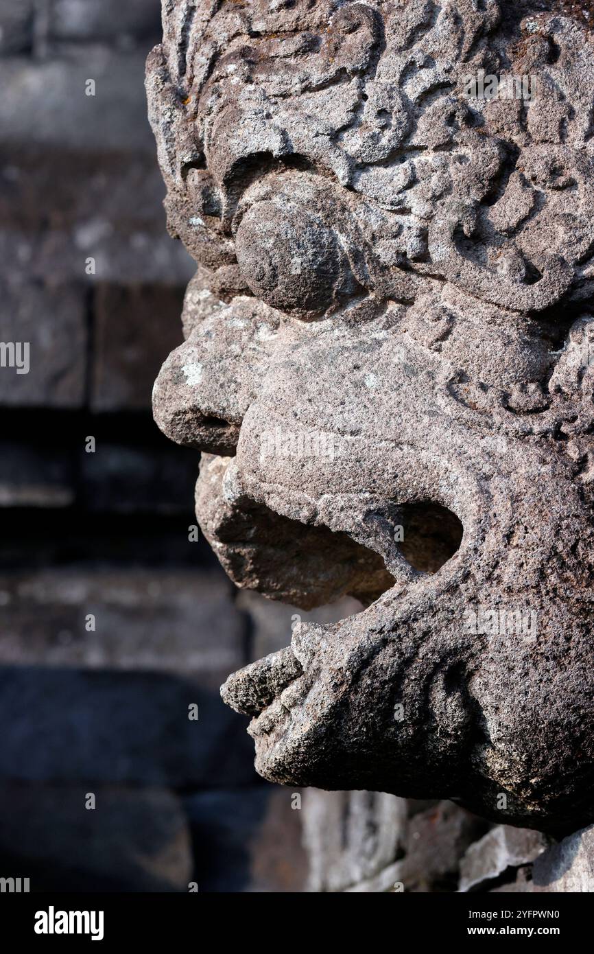 Java lion hi-res stock photography and images - Alamy