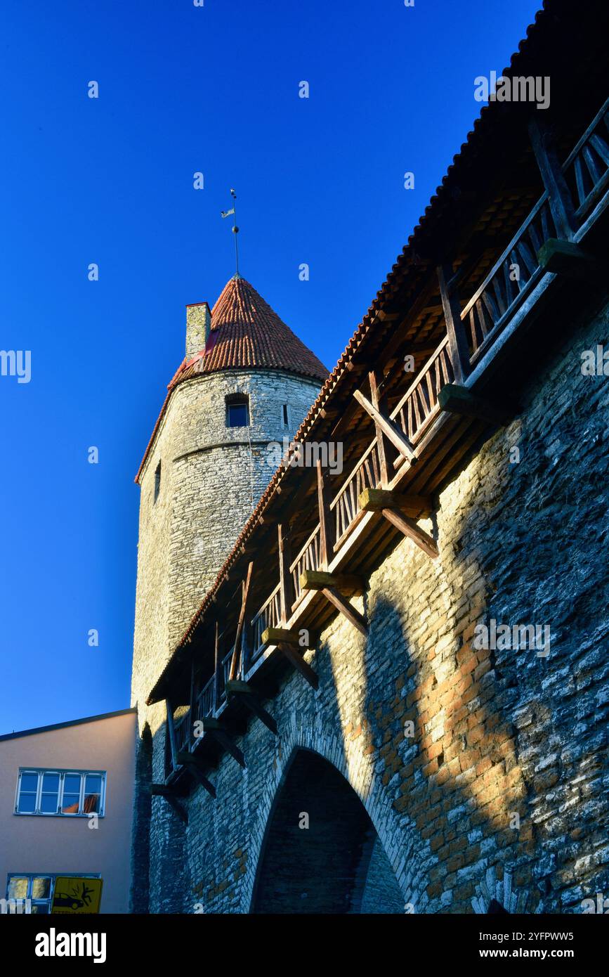 Settlement fortification design hi-res stock photography and images - Alamy