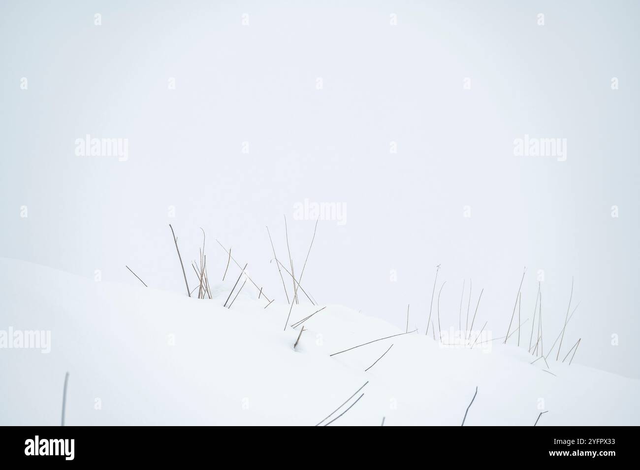 Winter atmosphere. Inside a thick snowfall. Sappada, Dolomites Stock ...