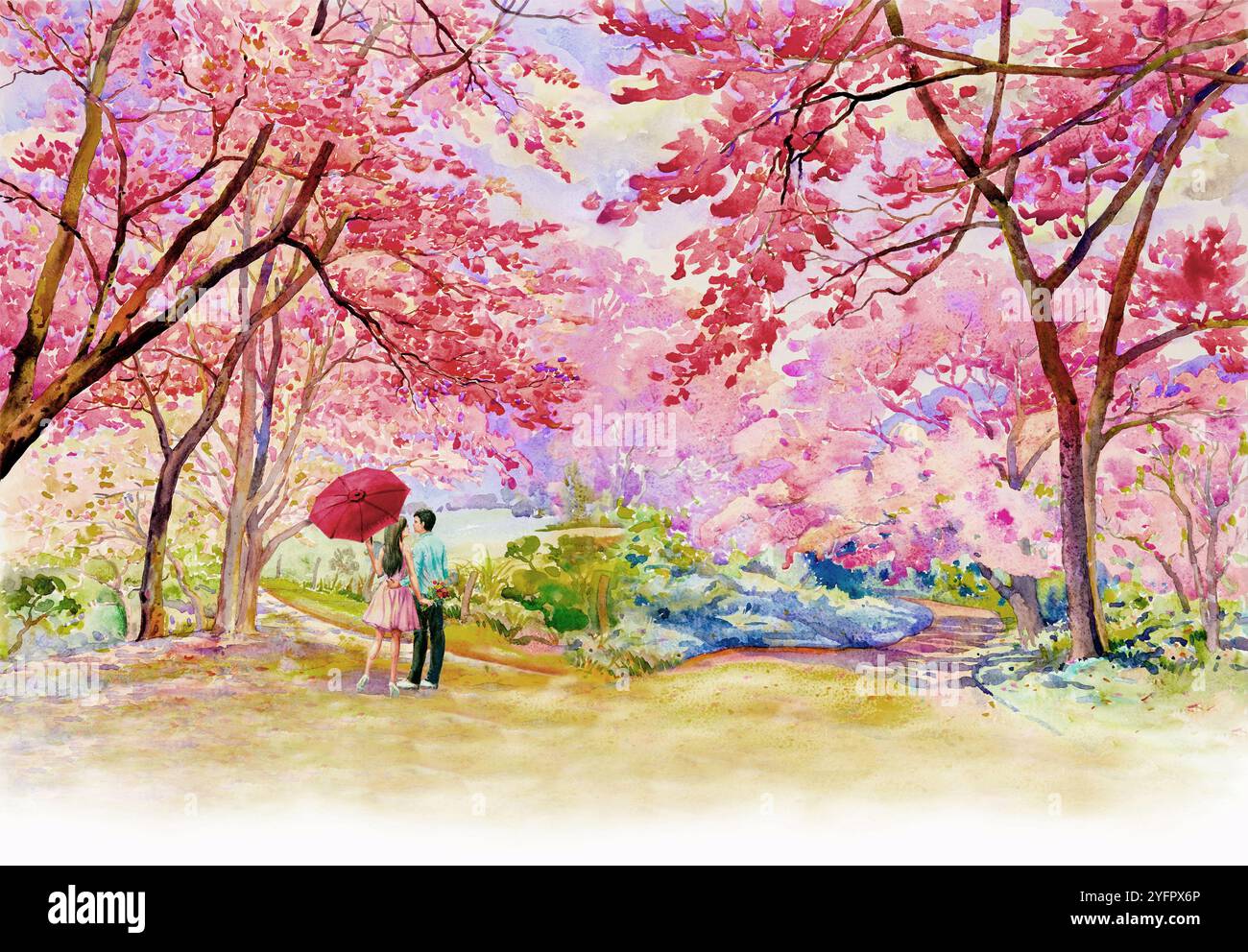 Pink red color of Wild himalayan cherry, roadside in the morning with ...