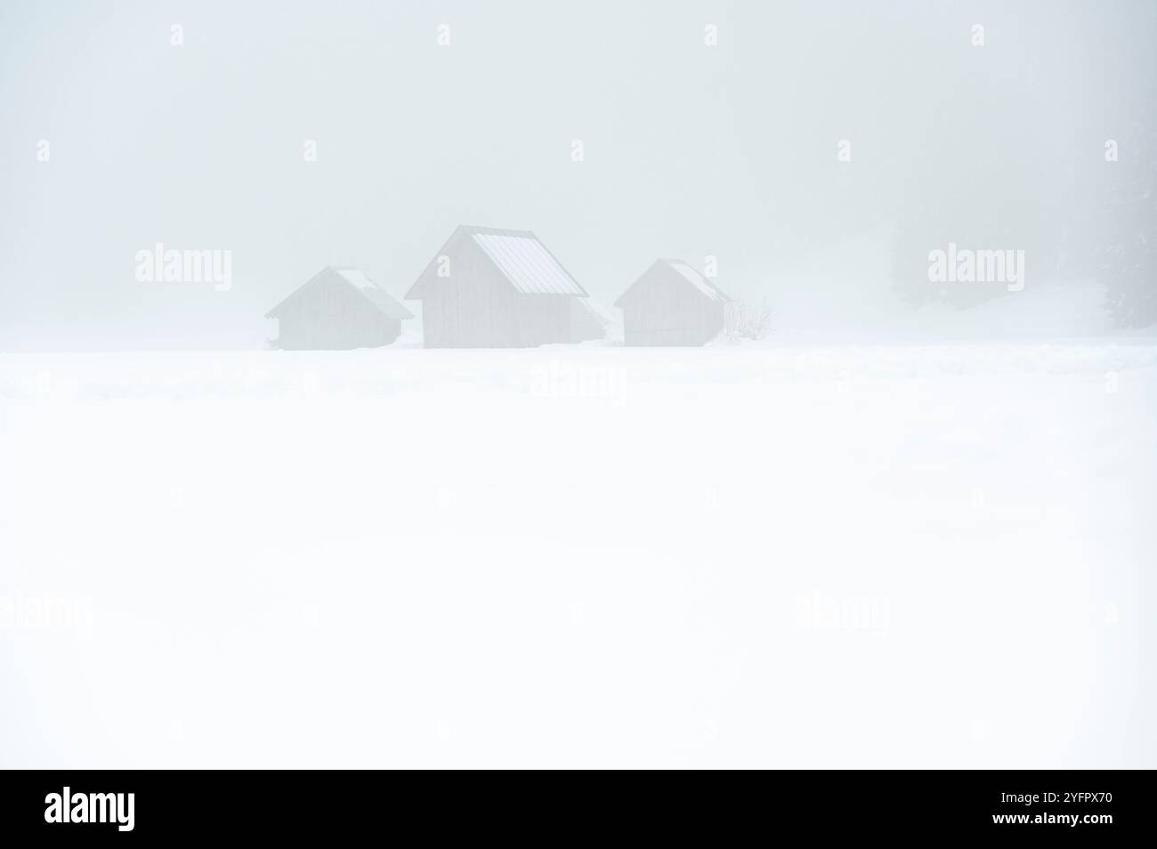 Winter atmosphere. Inside a thick snowfall. Sappada, Dolomites Stock ...