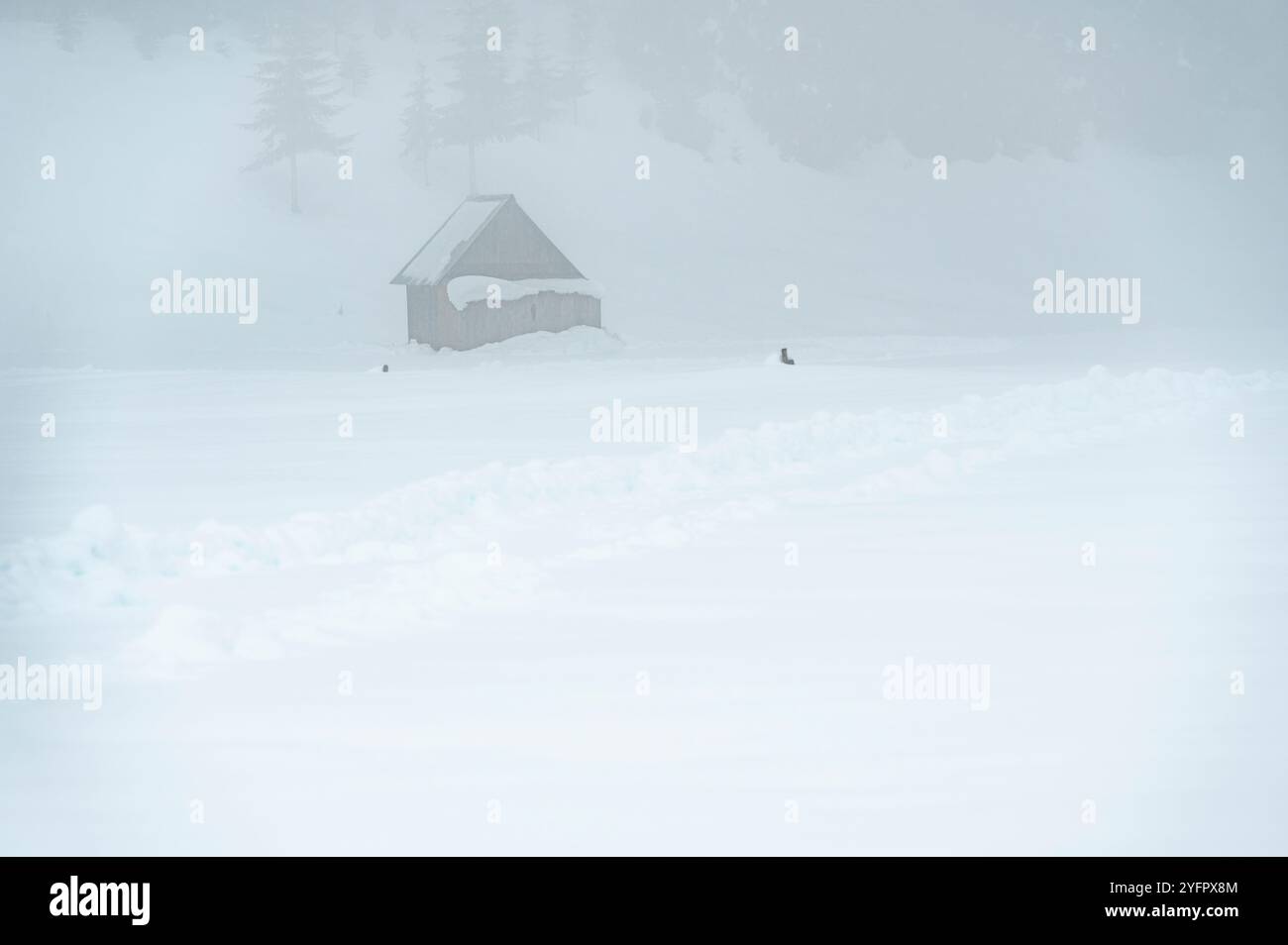 Winter atmosphere. Inside a thick snowfall. Sappada, Dolomites Stock ...