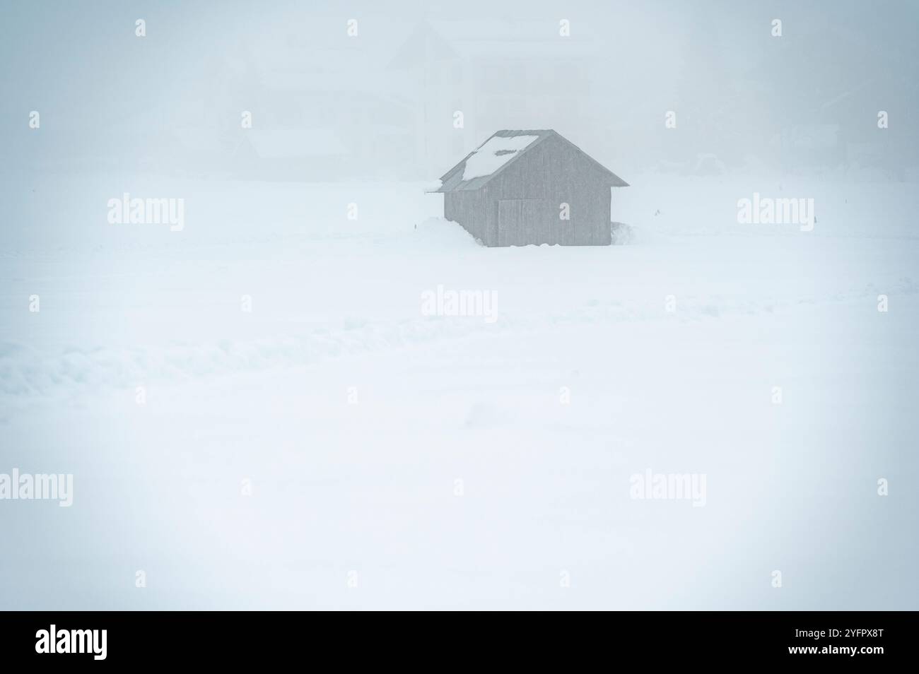 Winter atmosphere. Inside a thick snowfall. Sappada, Dolomites Stock ...