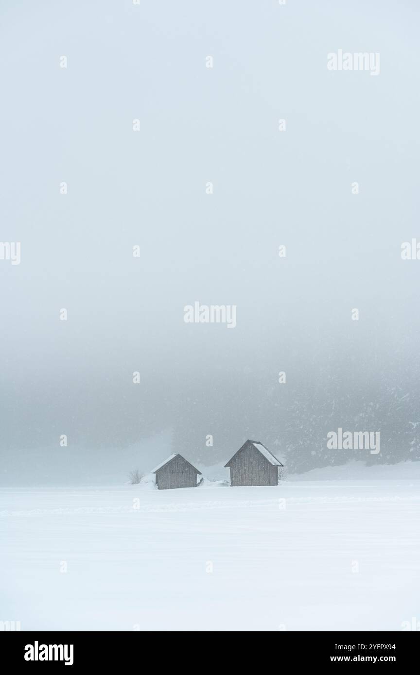 Winter atmosphere. Inside a thick snowfall. Sappada, Dolomites Stock ...