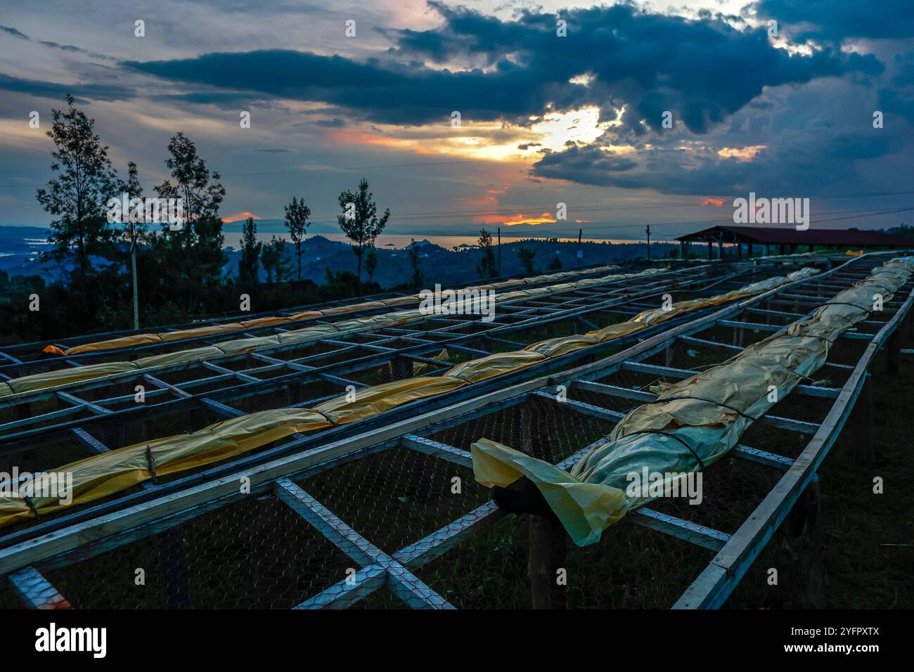 Coffee washing station, Rutsiro district, Northern province, Rwanda ...