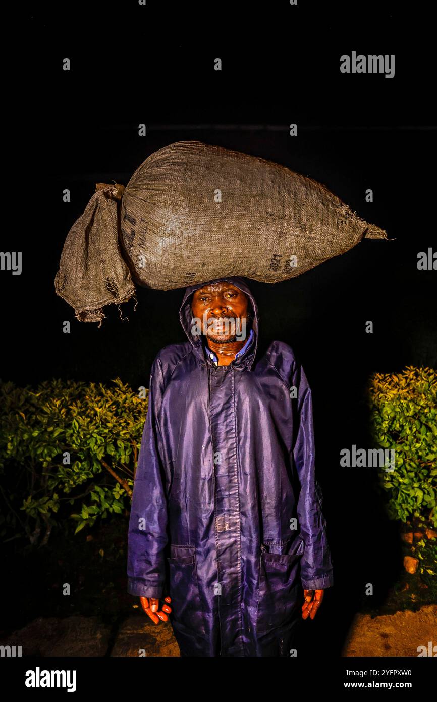 Grower bringing coffee cherries to a coffee washing station, Rutsiro ...