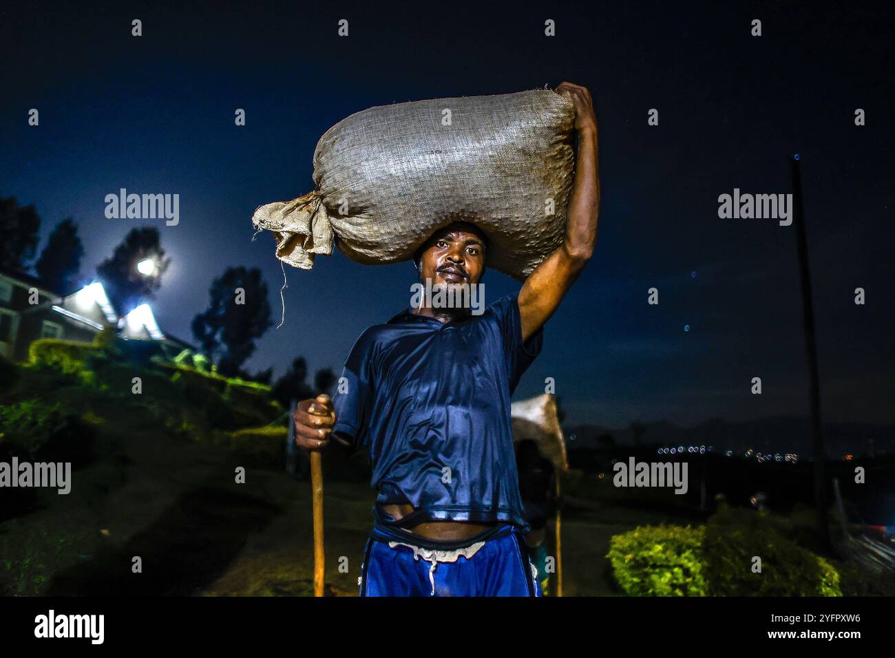 Grower bringing coffee cherries to a coffee washing station, Rutsiro ...