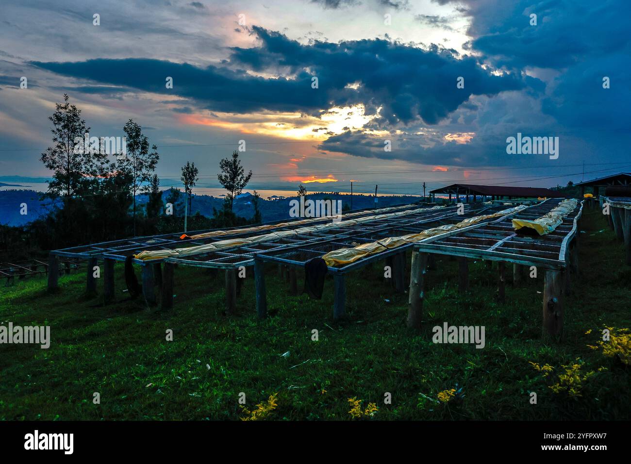 Coffee washing station, Rutsiro district, Northern province, Rwanda ...