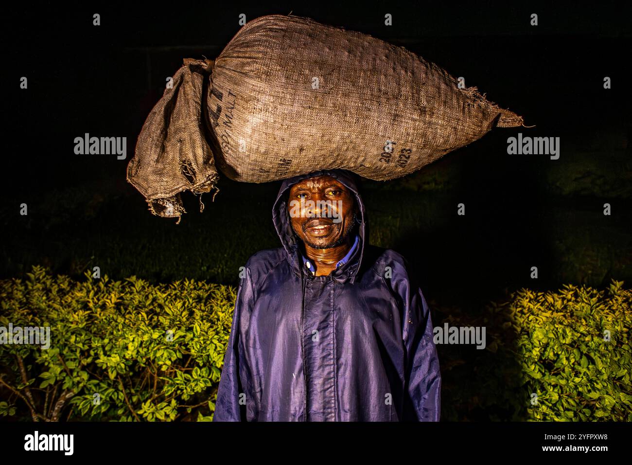 Grower bringing coffee cherries to a coffee washing station, Rutsiro ...