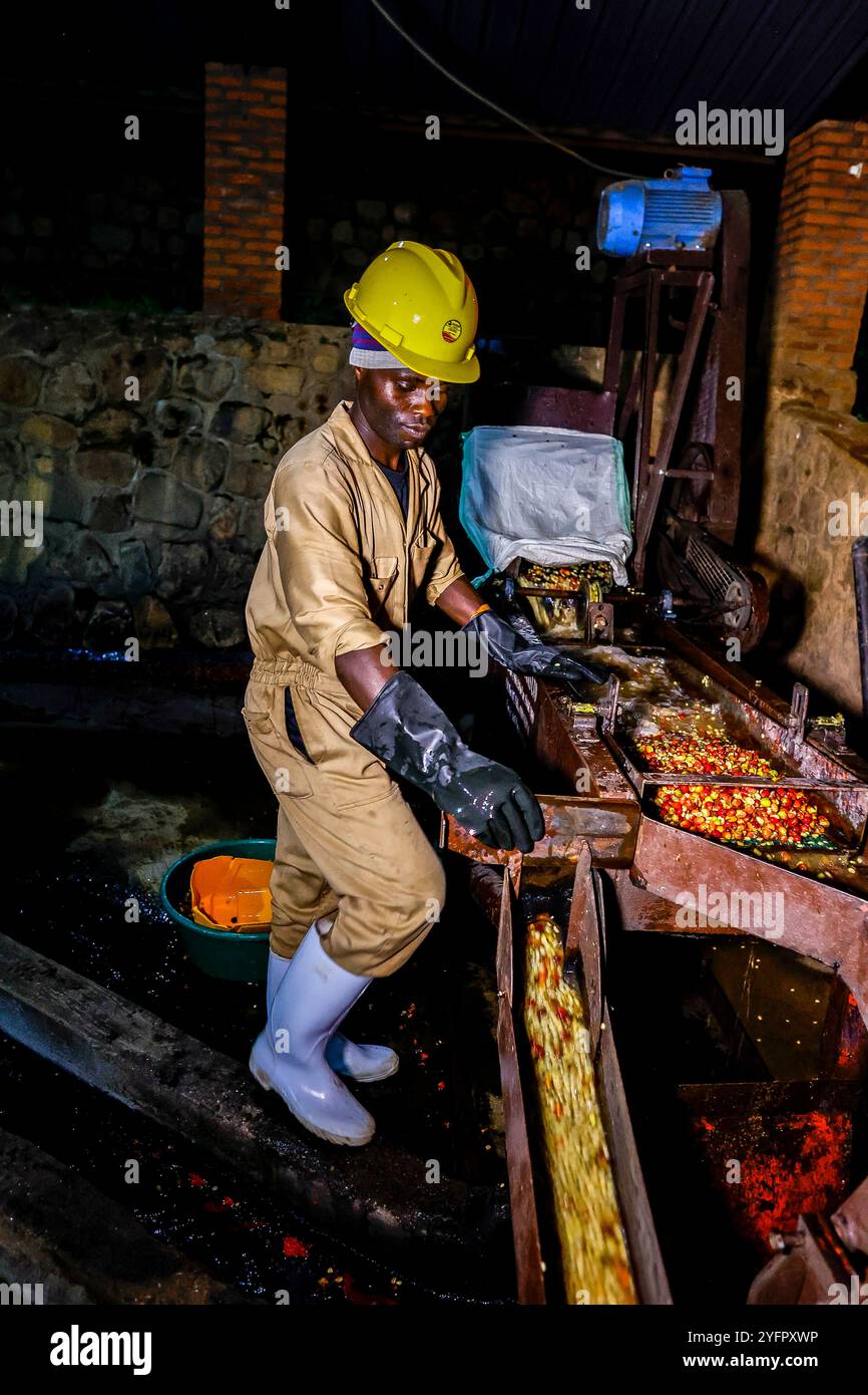 Coffee washing station, Rutsiro district, Northern province, Rwanda ...