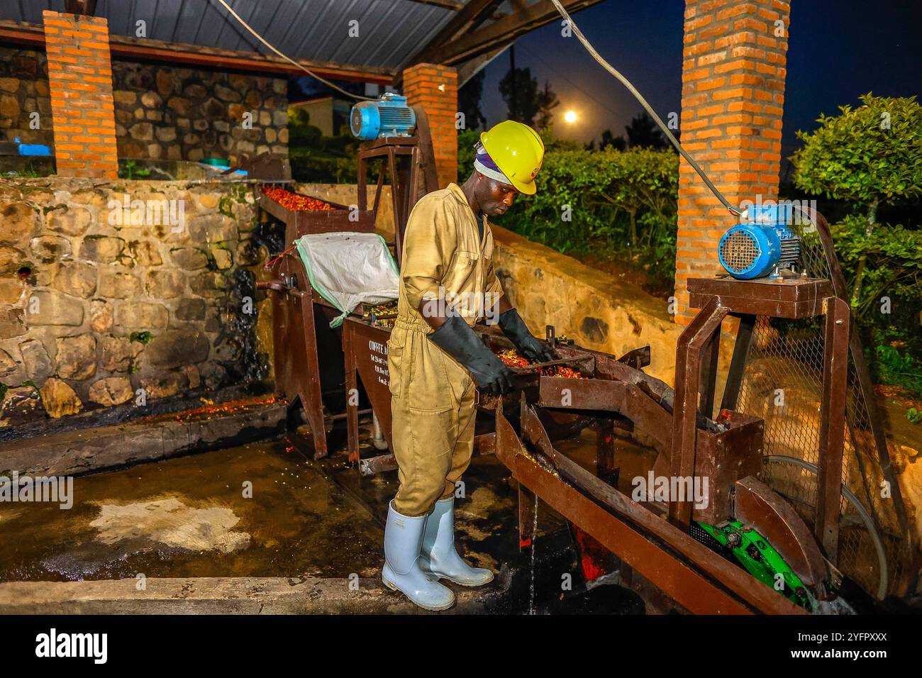 Coffee washing station, Rutsiro district, Northern province, Rwanda ...