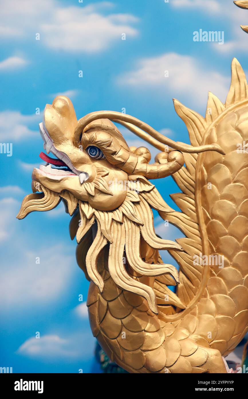 Cau dung Pagoda. Golden chinese dragon sculpture. An Giang Province ...