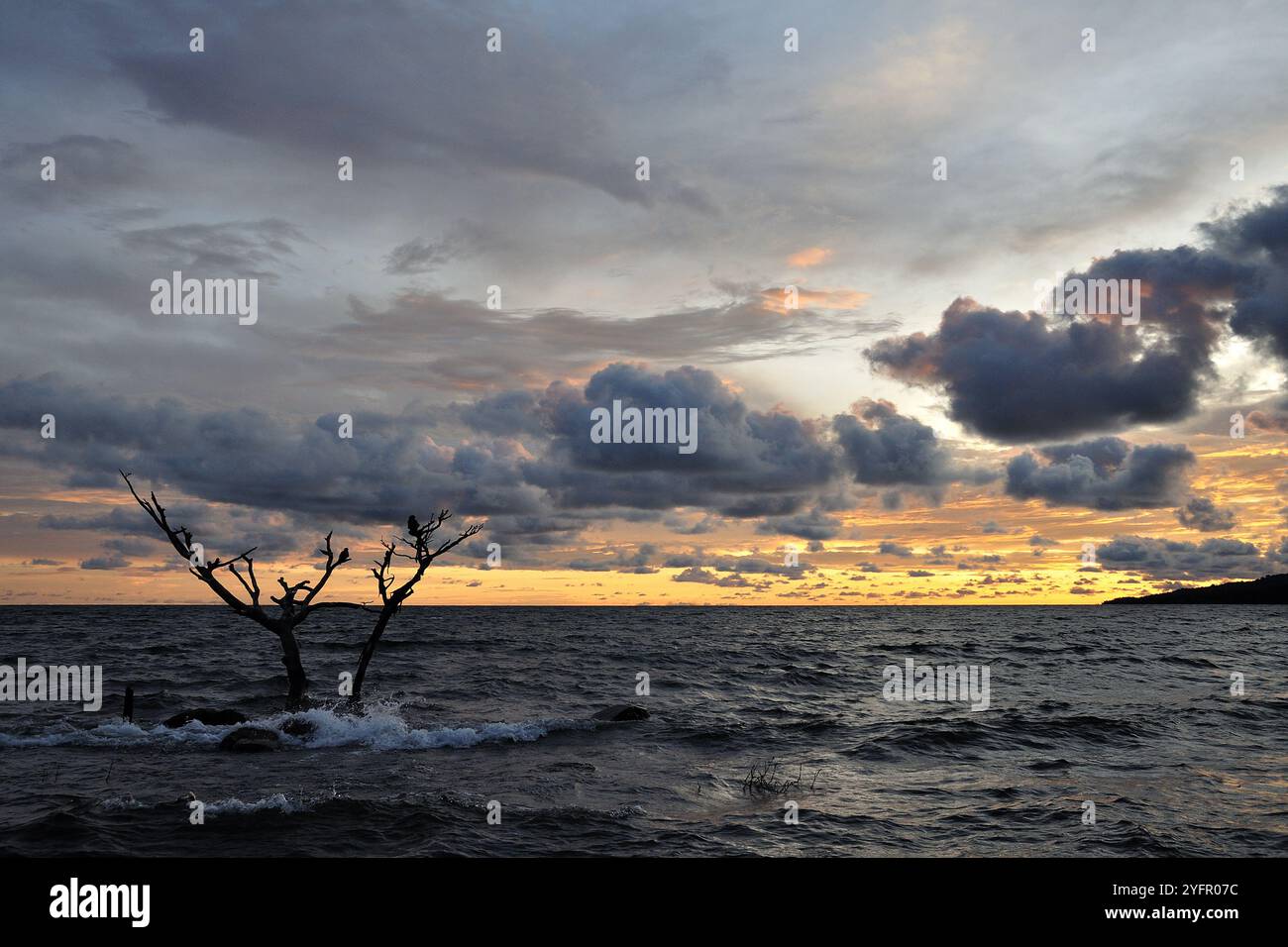 Lake Victoria looking out from Takawiri Island just after sunset ...