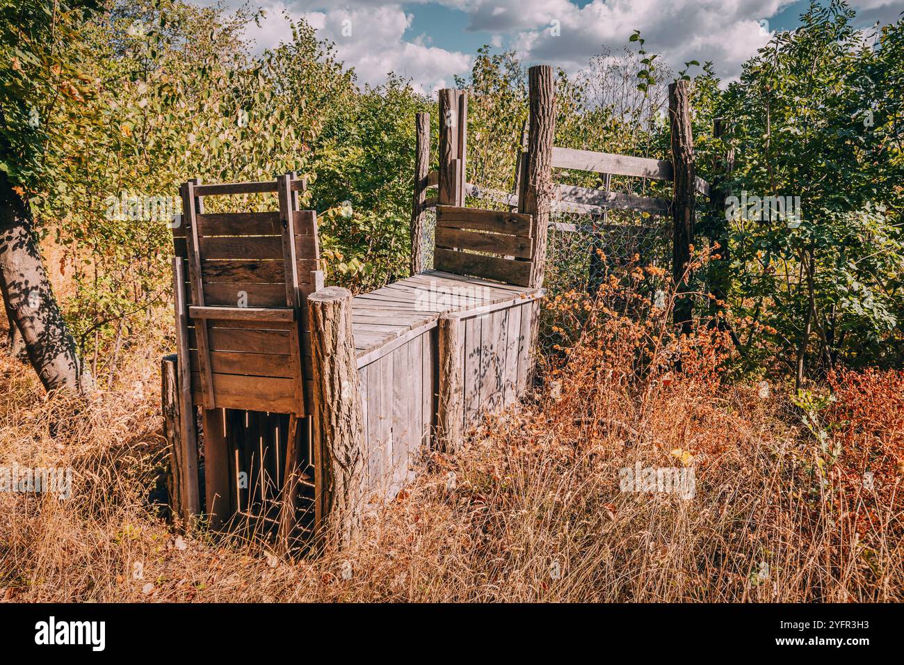 A close-up view of a wildlife trap set in a forest, surrounded by lush ...