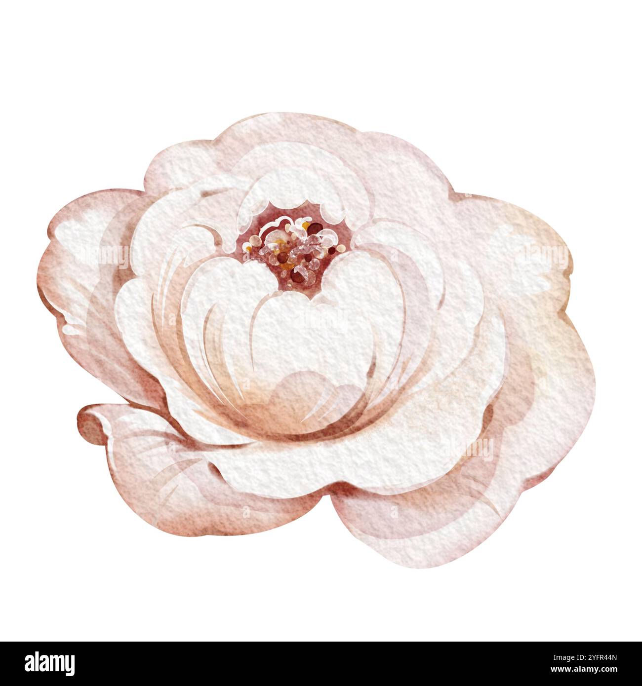 Single rose drawing hi-res stock photography and images - Alamy