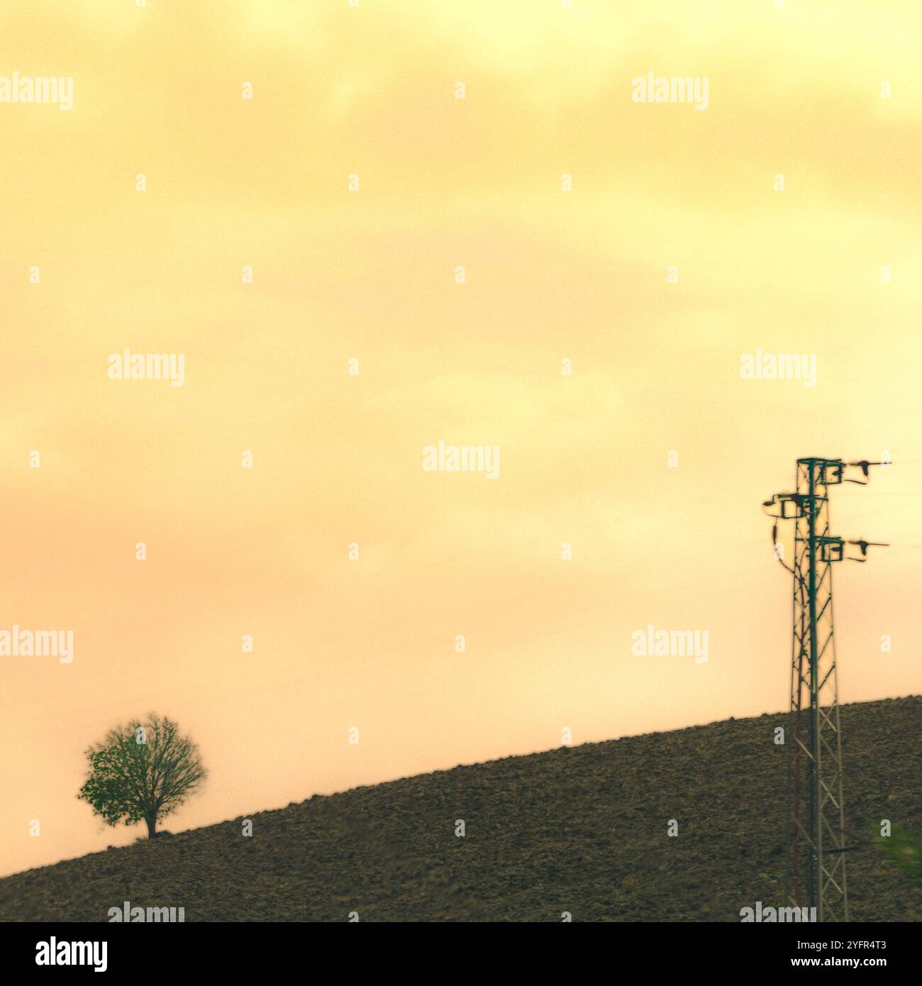 Small Tree and Pylon Stock Photo - Alamy