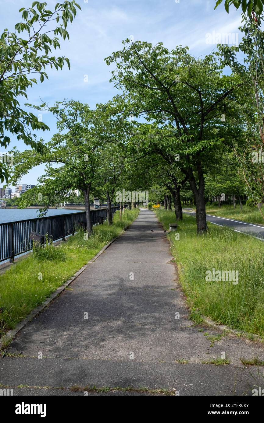 Riverside Cycle Path Walkway in Osaka Japan Stock Photo - Alamy