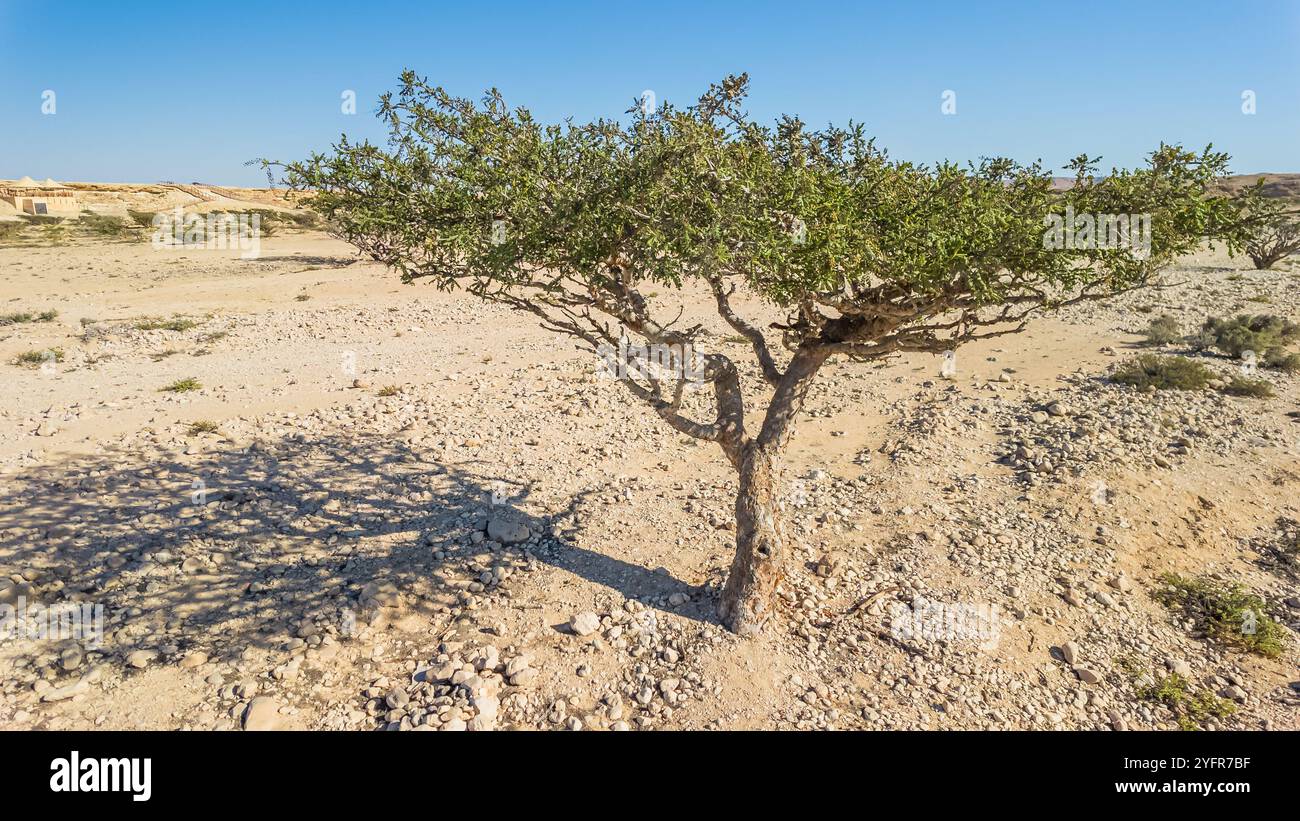 Aerial rub al khali hi-res stock photography and images - Alamy