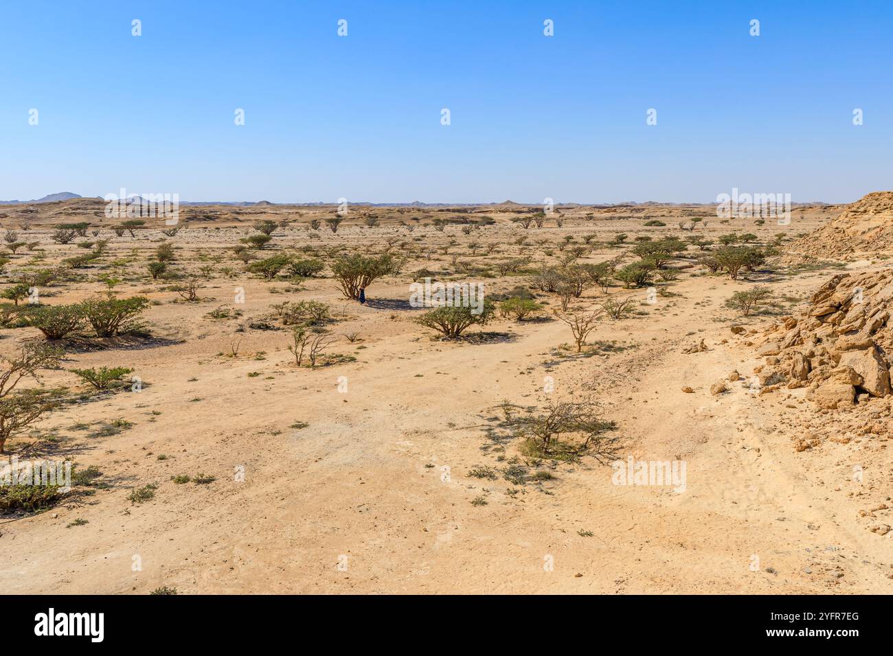AERIAL VIEW of the captivating scenery of Wadi Dawkah Natural Park in ...
