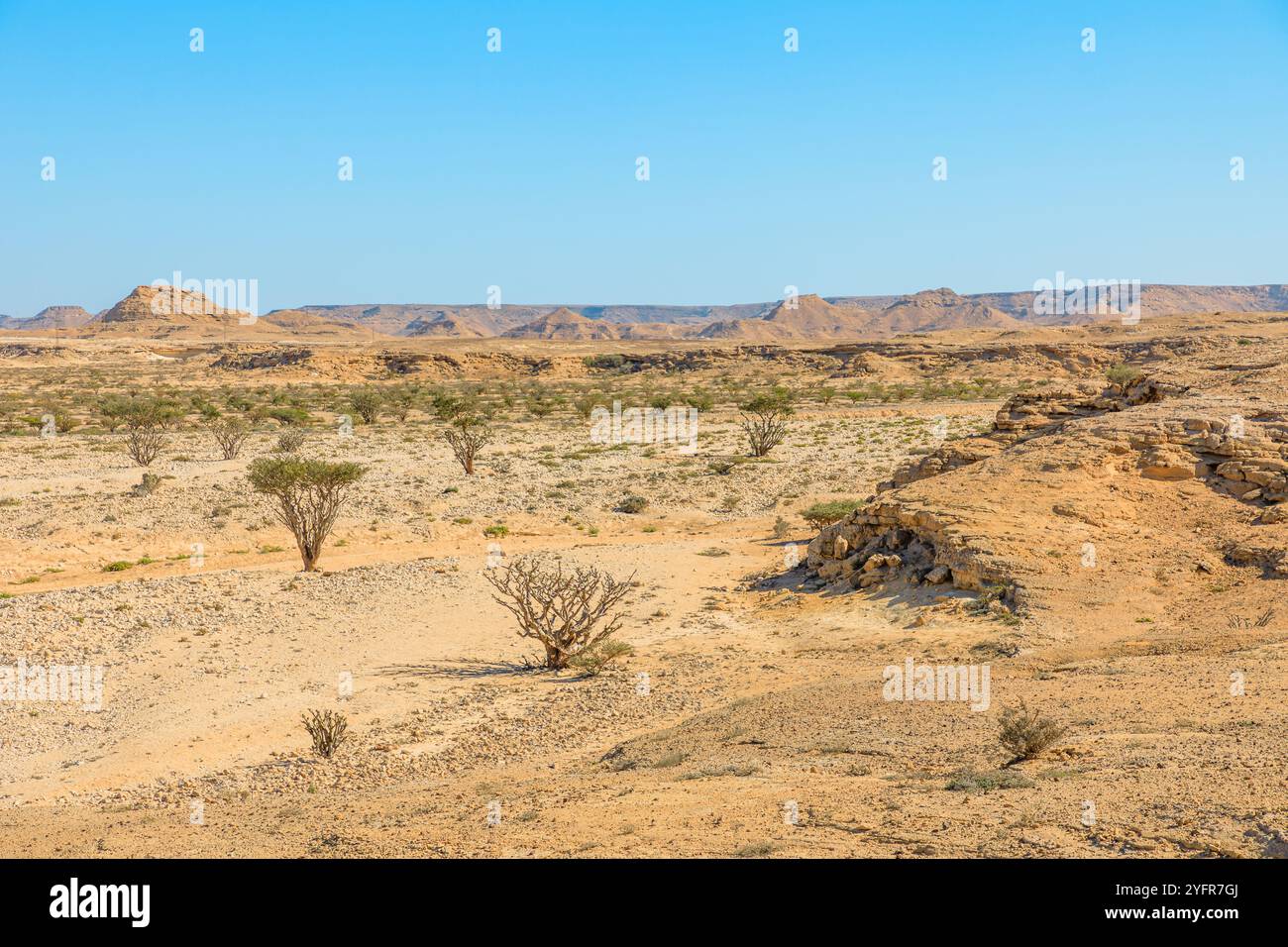 AERIAL VIEW of the captivating scenery of Wadi Dawkah Natural Park in ...