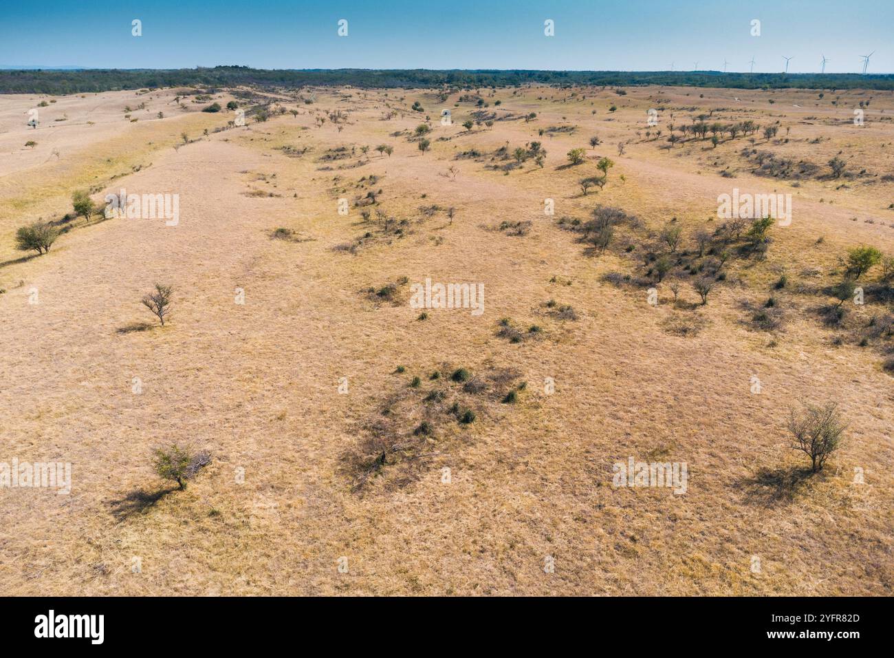 A panoramic aerial view of Serbia Deliblatska Pescara desert reveals a ...