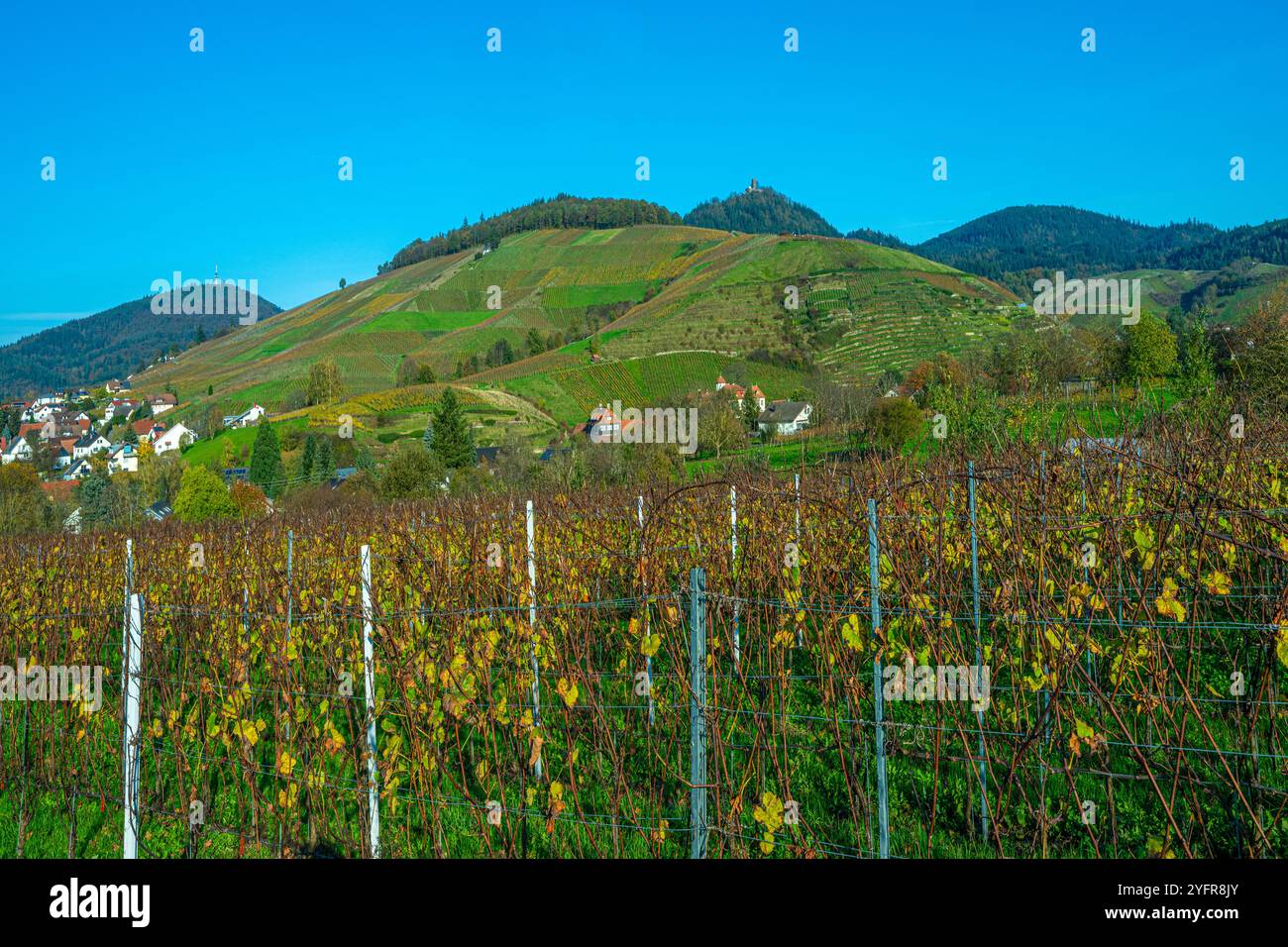 The beautiful Schloss Neuweier winery between Sinzheim and Buehl. Baden ...