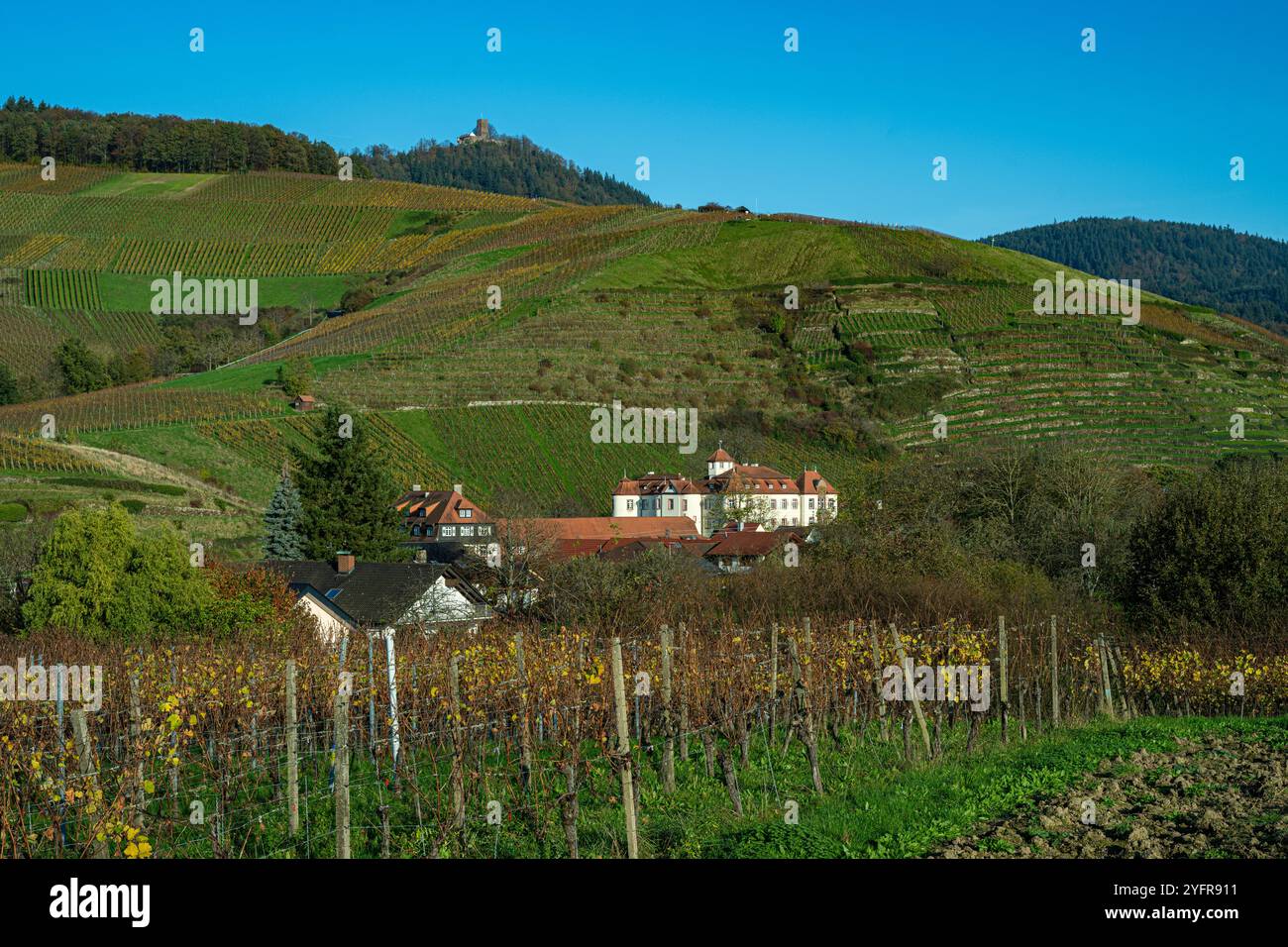 The beautiful Schloss Neuweier winery between Sinzheim and Buehl. Baden ...