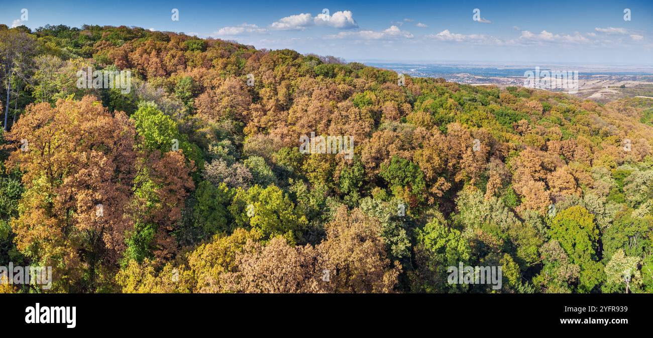An aerial view of the slopes of Fruska Gora park in Serbia, where ...