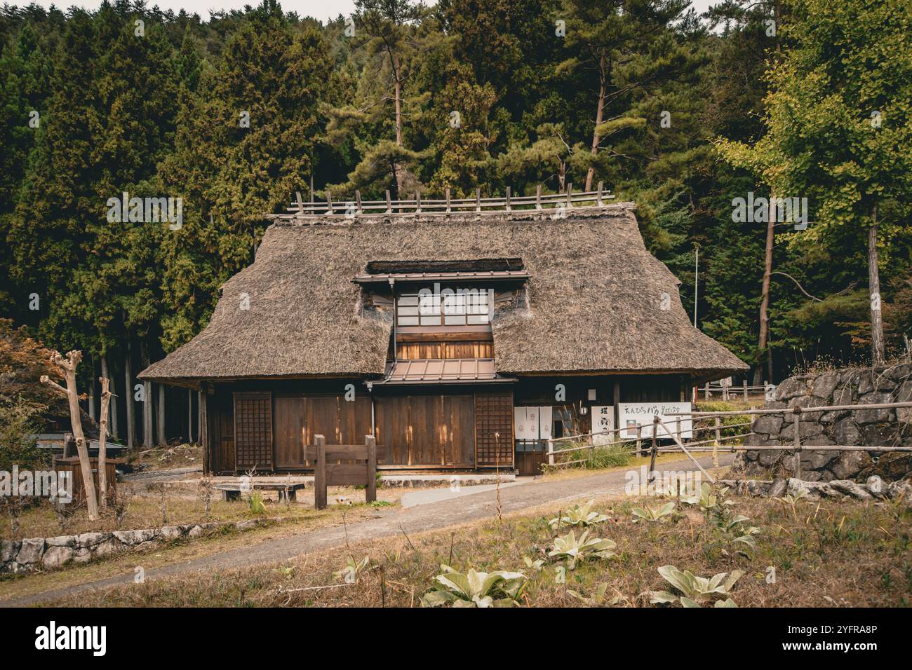 Traditional thatched-roof house nestled among tall trees in a serene ...