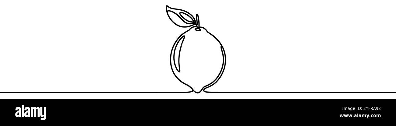 One continuous line illustration of a lime, isolated on white ...