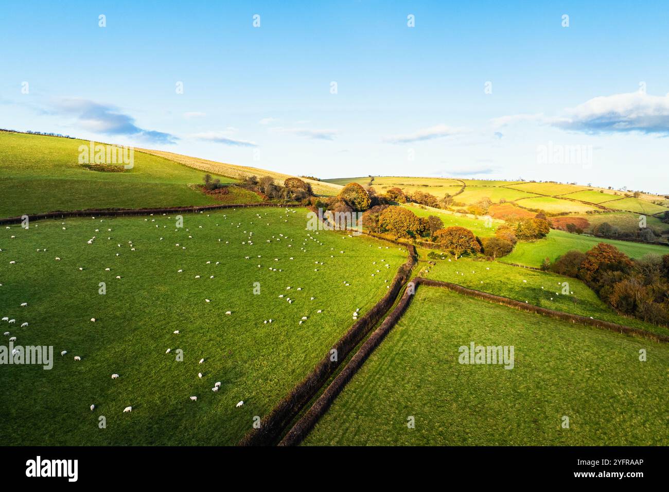 Farms over Trecastle from a drone at sunset, Brecon Beacons National ...
