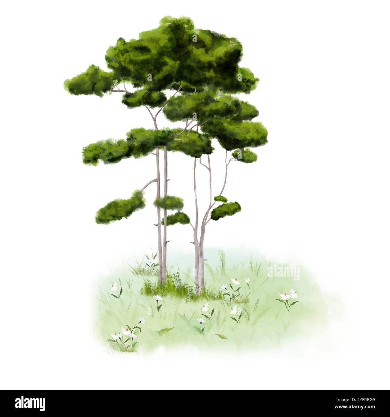 Digital art in two Cut Out Stock Images & Pictures - Alamy