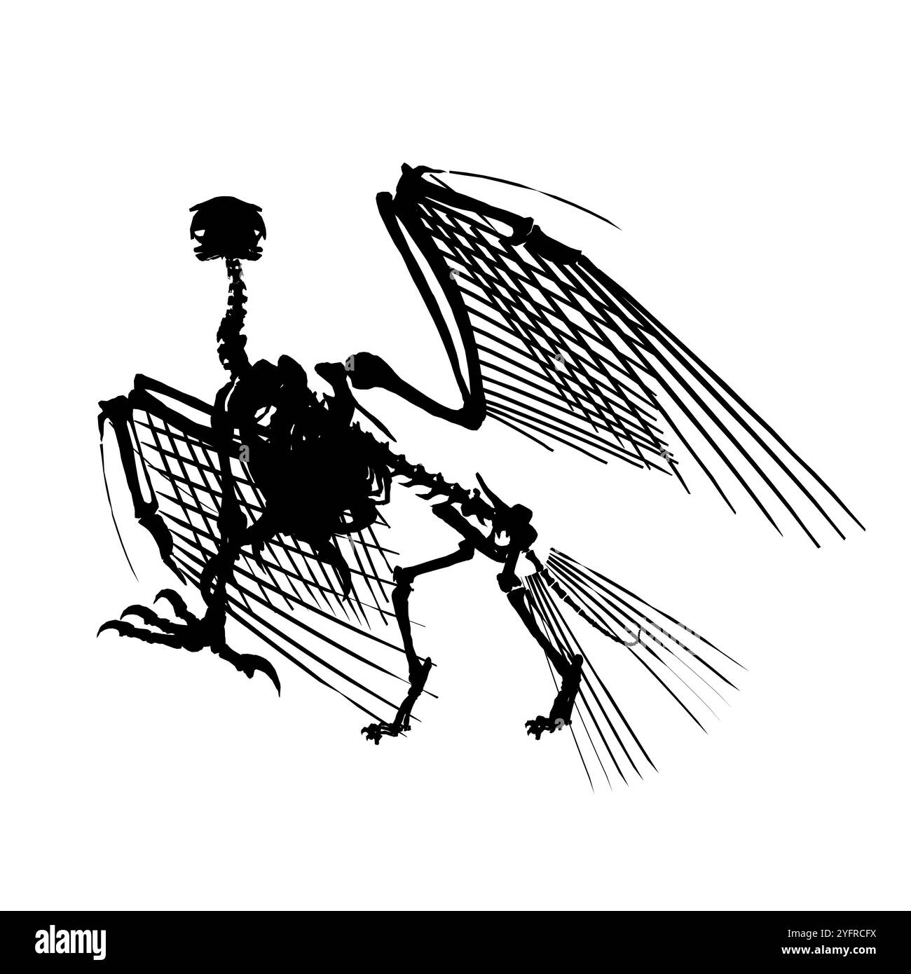 Vector antique engraving drawing illustration of silhouette bird ...