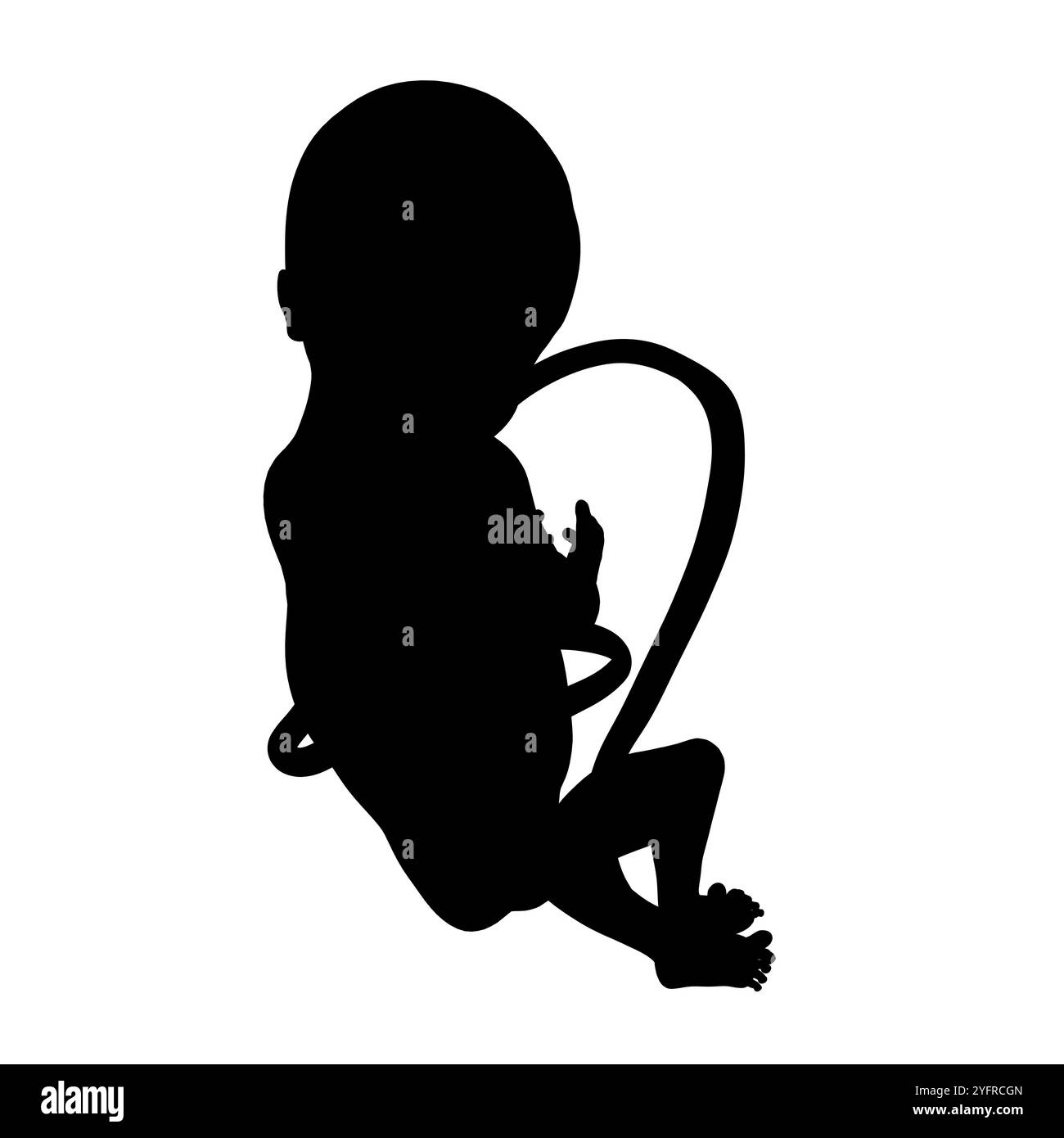 Fetus graphic icon silhouette. Embryo human silhouette sign isolated on ...