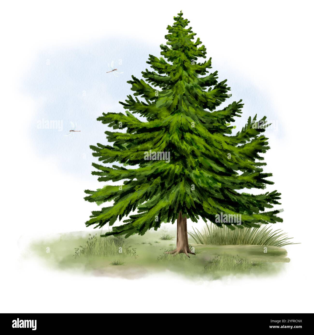 Lush green Christmas tree. Watercolor digital illustration. Cute ...
