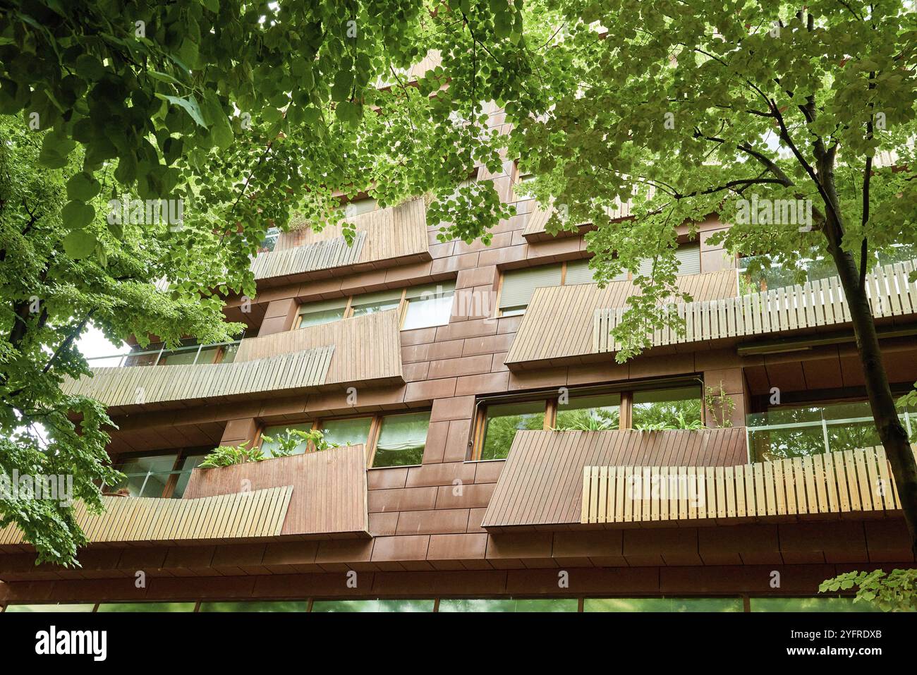 Eco-friendly building in the city. Green tree branches with leaves and ...