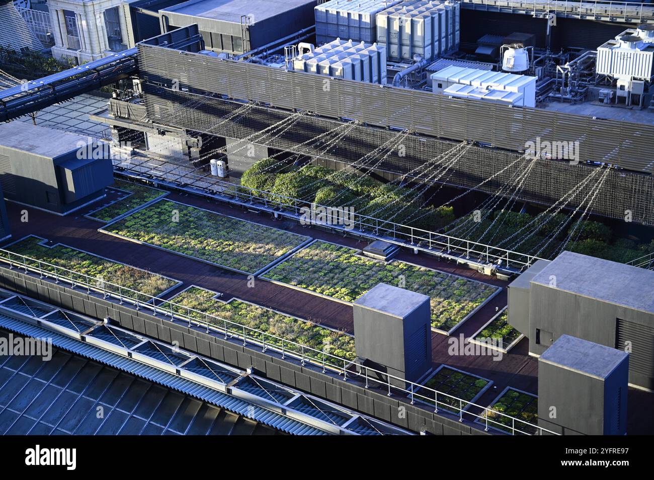 Rooftop horticulture vegetable garden as seen from the luxury hotel ...