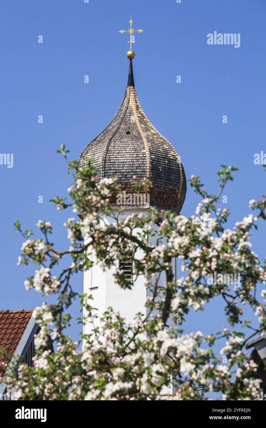 Bavarian church tower, apple tree, apple blossom, spring, sunny ...