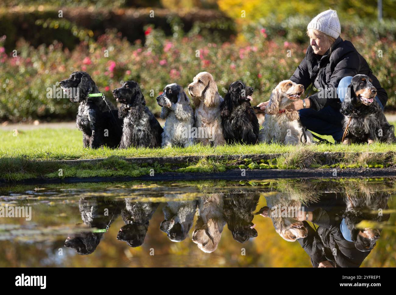 Dortmund, Germany. 05th Nov, 2024. The "Hund & Pferd" trade fair in ...
