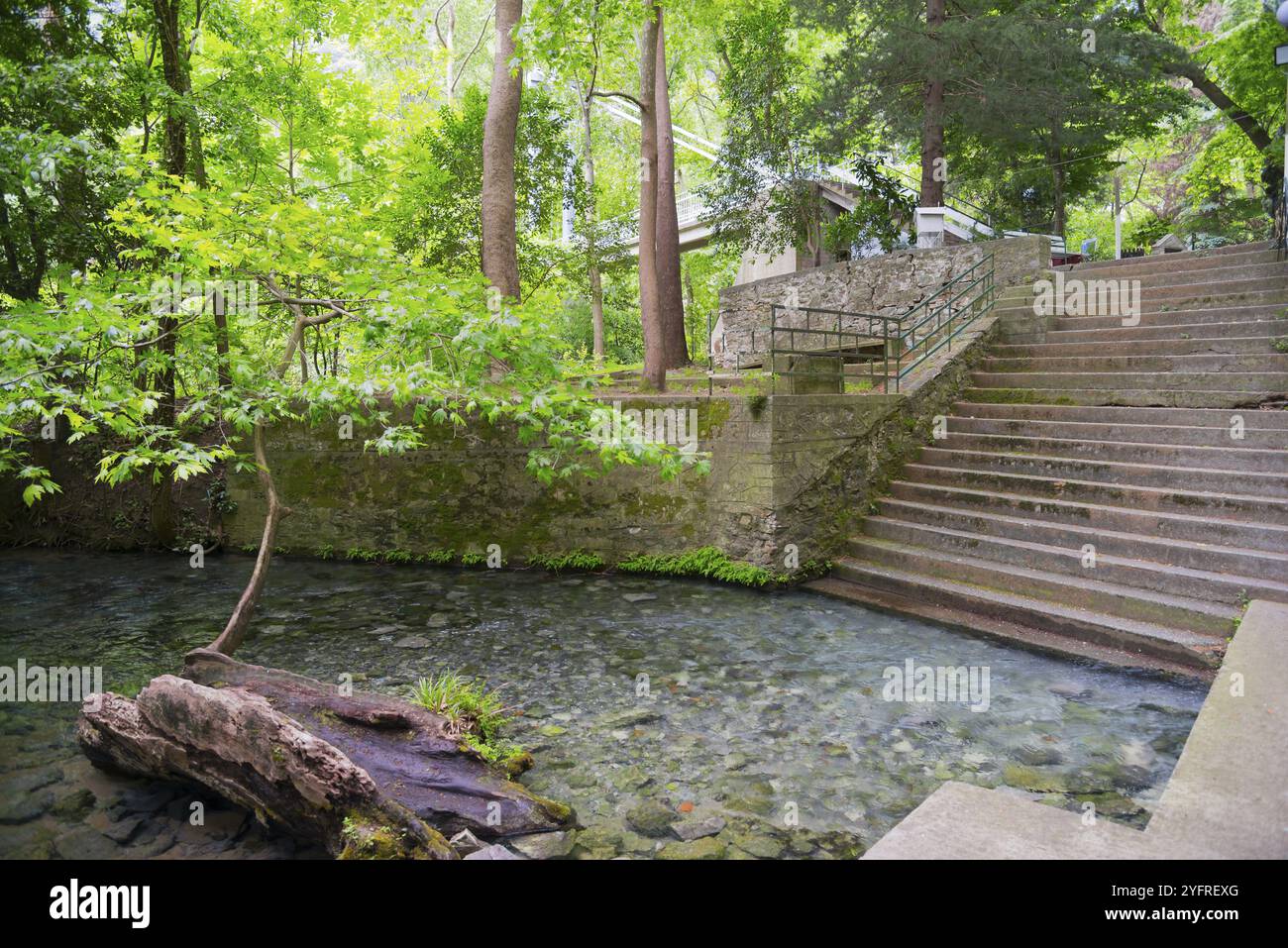Stairs leading to a quiet river, surrounded by lush greenery and trees ...